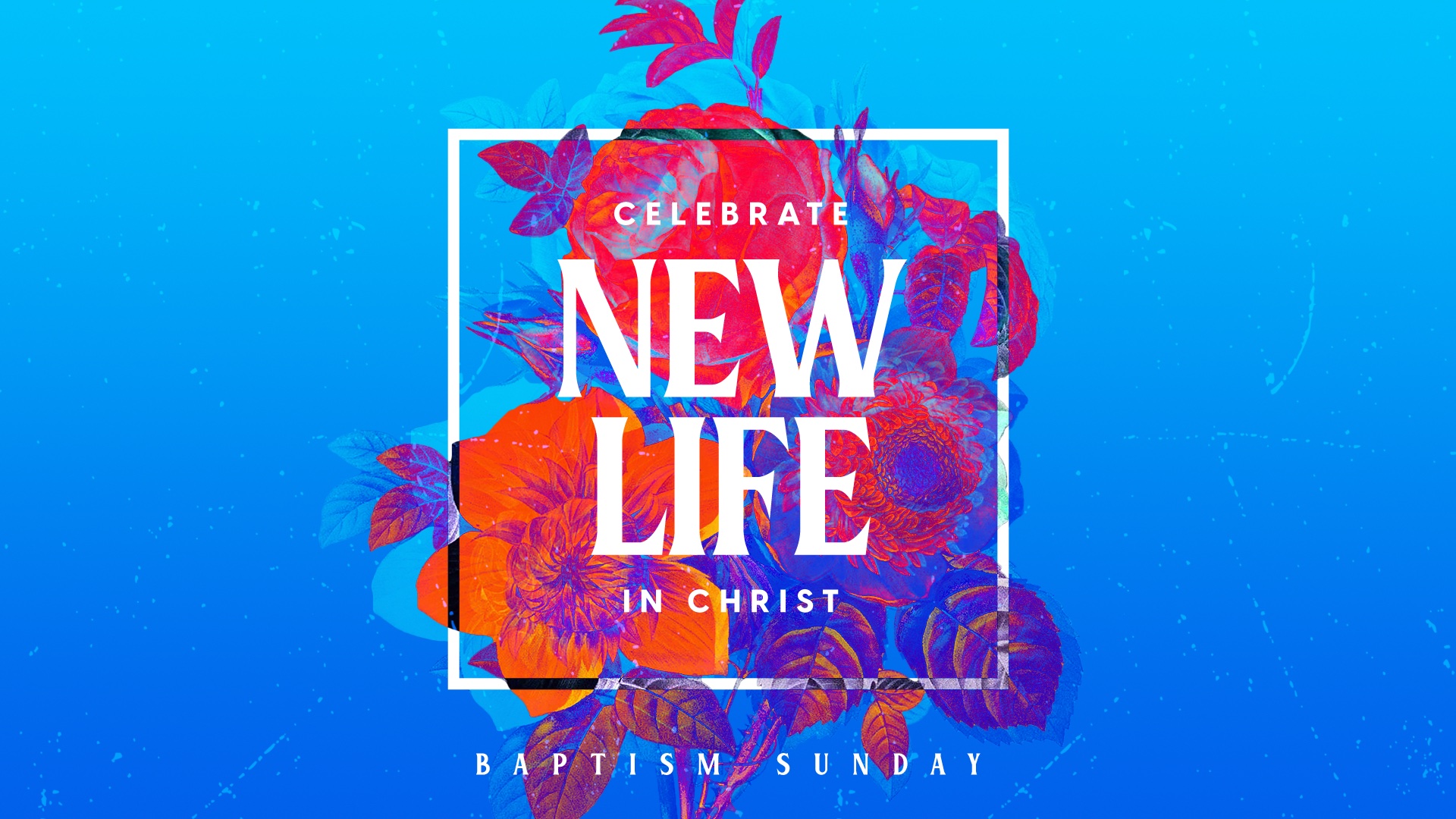 Social Graphics: Celebrate New Life - Baptism Sunday - Church Visuals