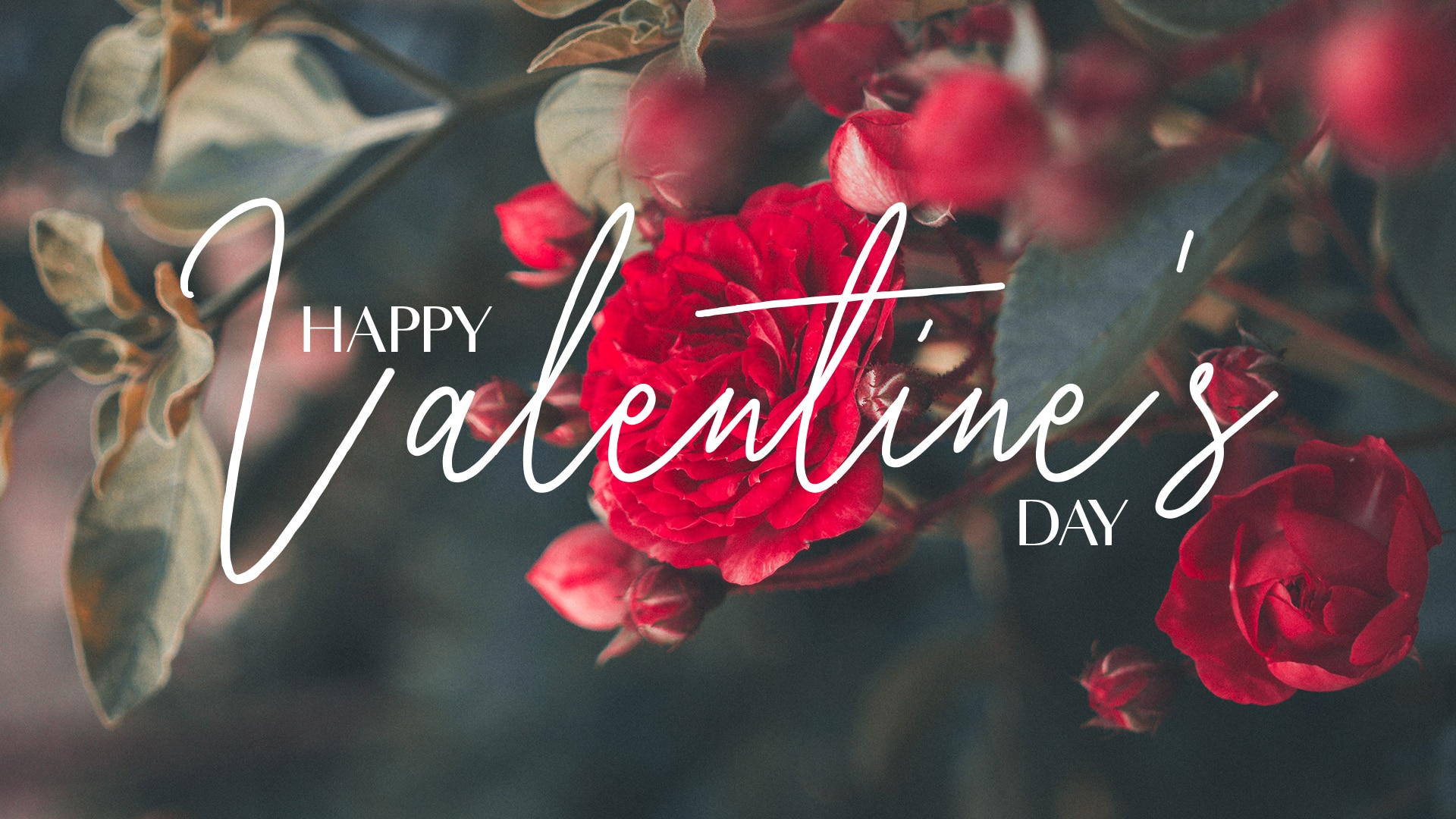 Social Graphics: Happy Valentines Day - Church Visuals