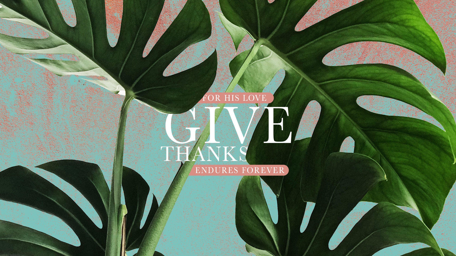 Social Graphics: Give Thanks - Church Visuals