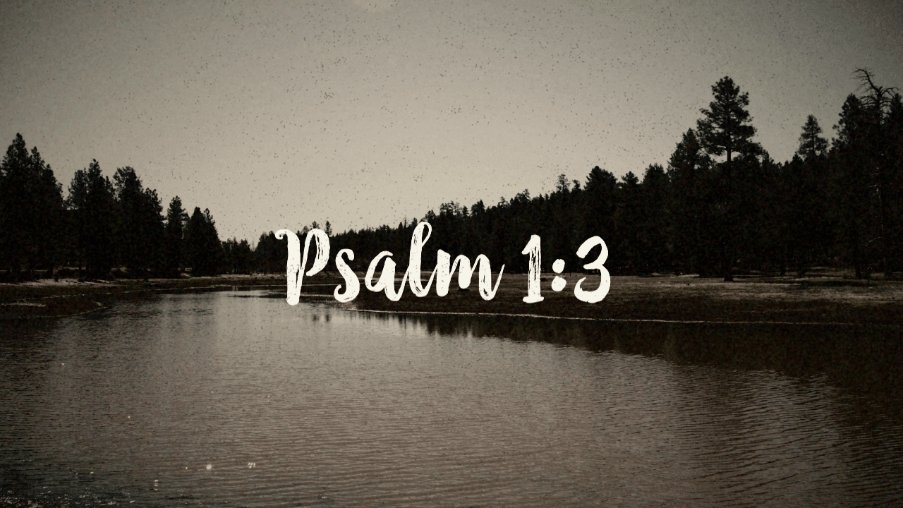 Mini-Movie: Psalm 1:3 - Church Visuals