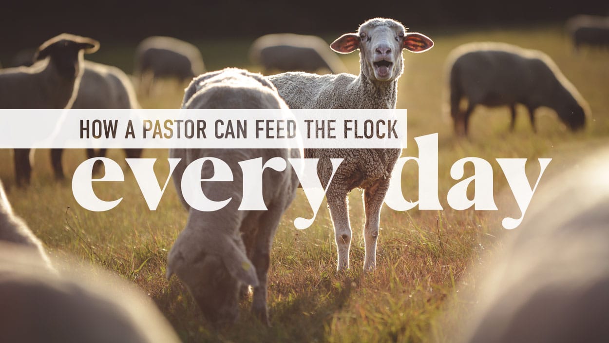 How A Pastor Can Feed the Flock Every Day on Social Media - Church Visuals
