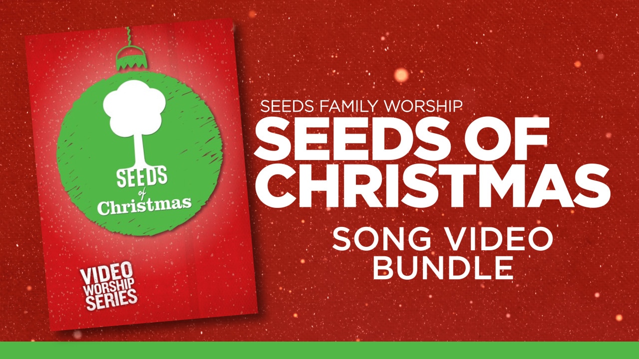 Worship Video: Seeds of Christmas: Song Video Bundle - Church Visuals