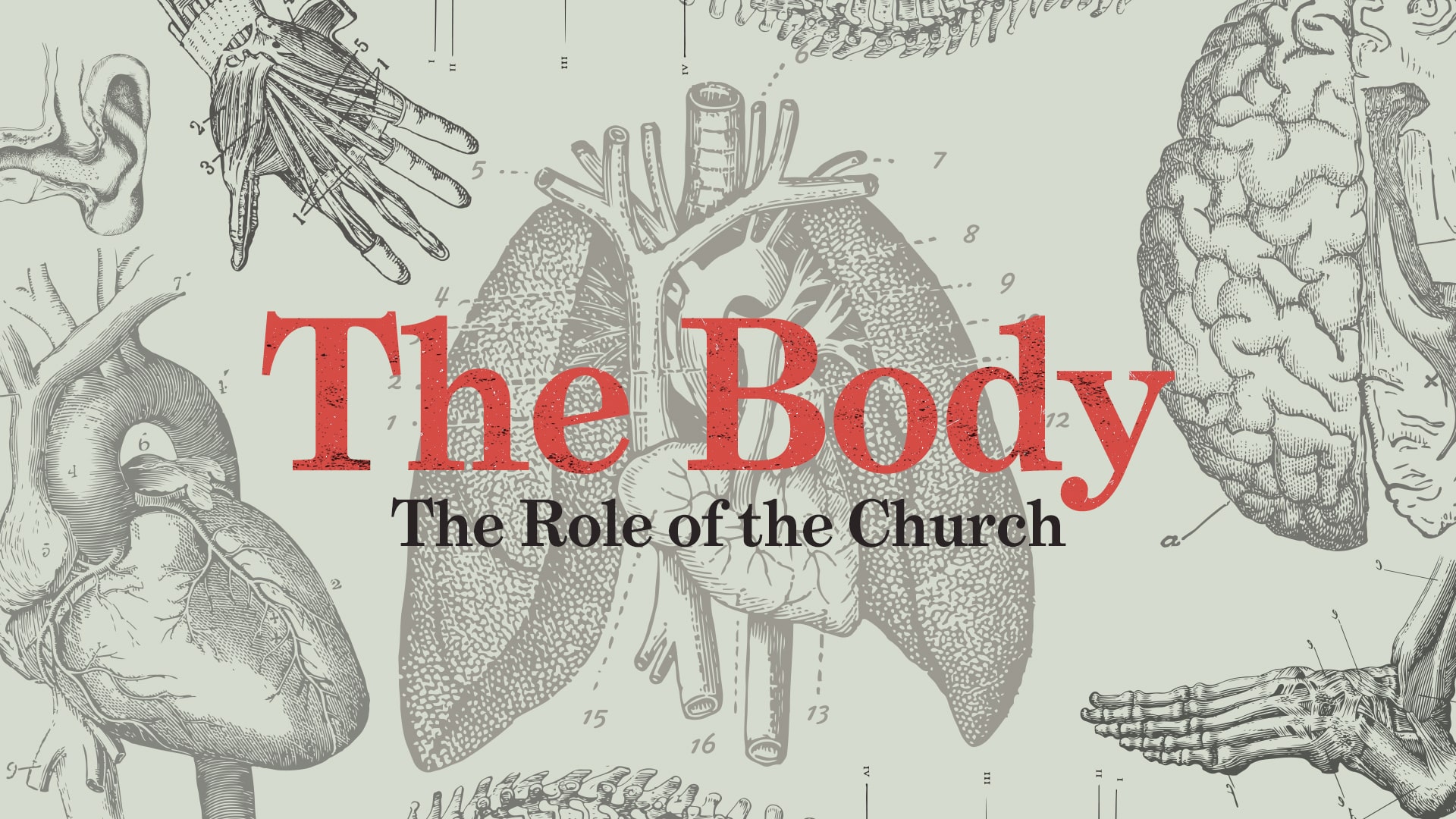 Sermon Series: The Body - The Role of the Church - Church Visuals
