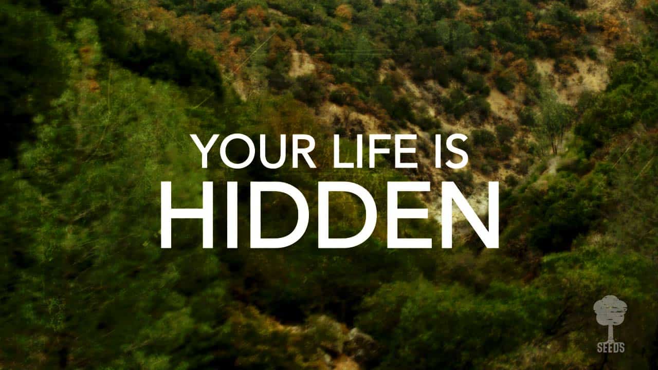 Worship Video: Your Life is Hidden - Church Visuals