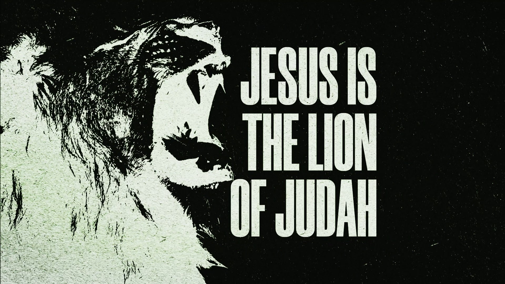 Mini-Movie: The Lion And The Lamb - Church Visuals