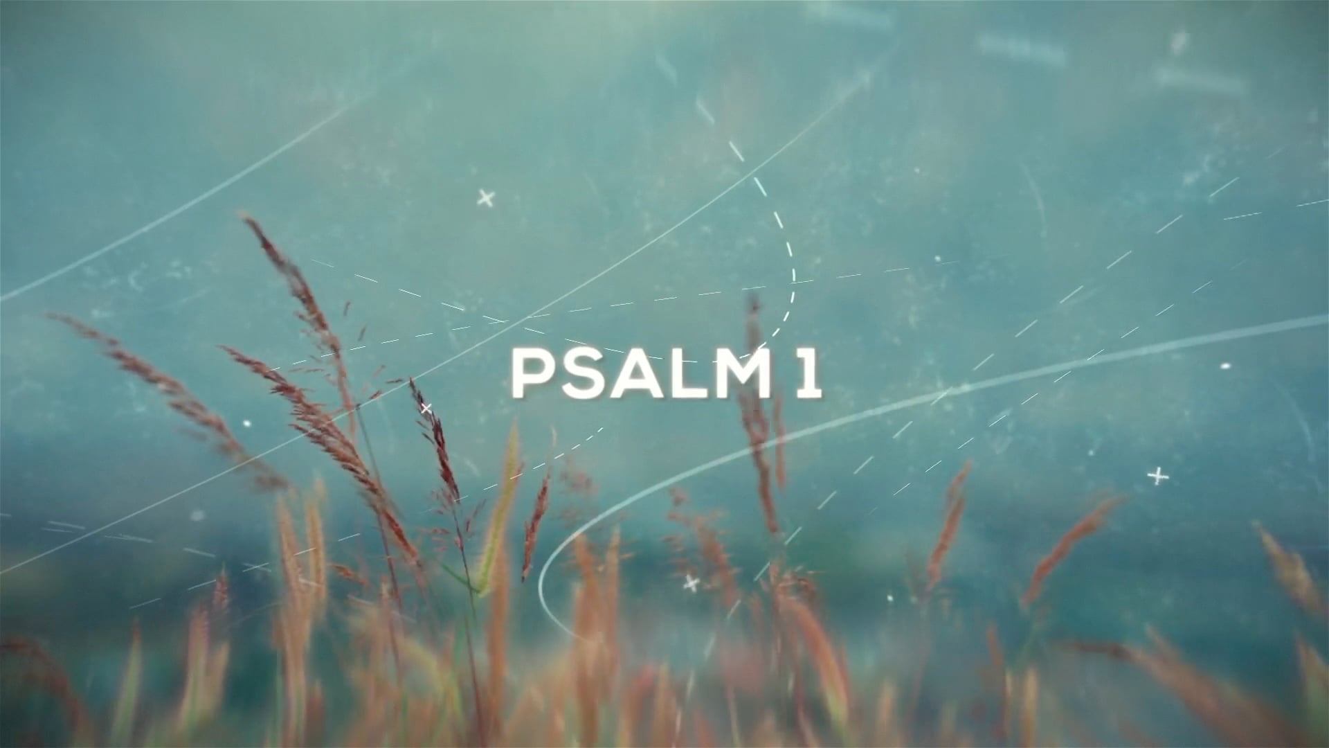 Mini-Movie: Psalm 1: Worship Opener - Church Visuals
