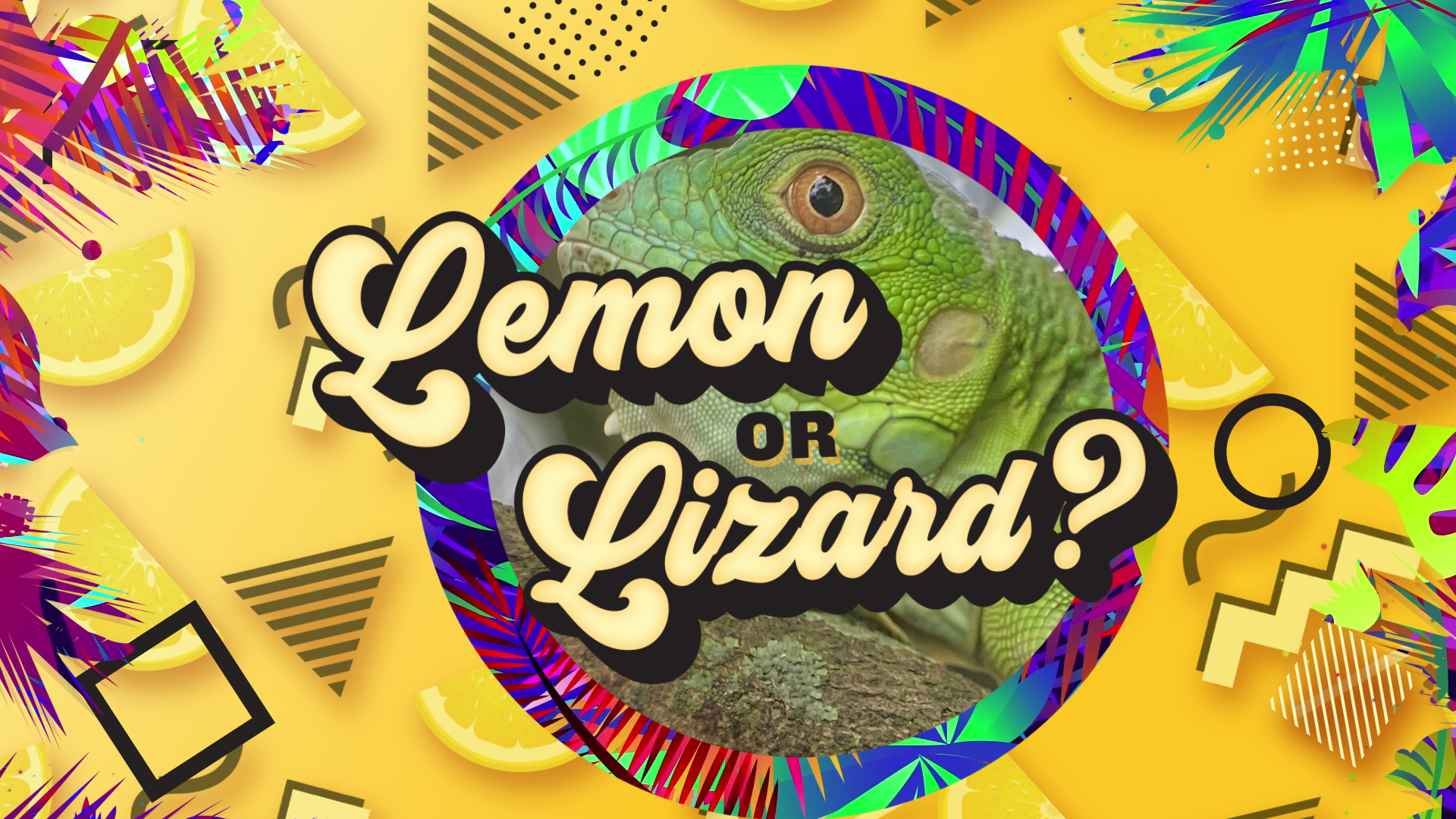 Game: Lemon or Lizard - Church Visuals