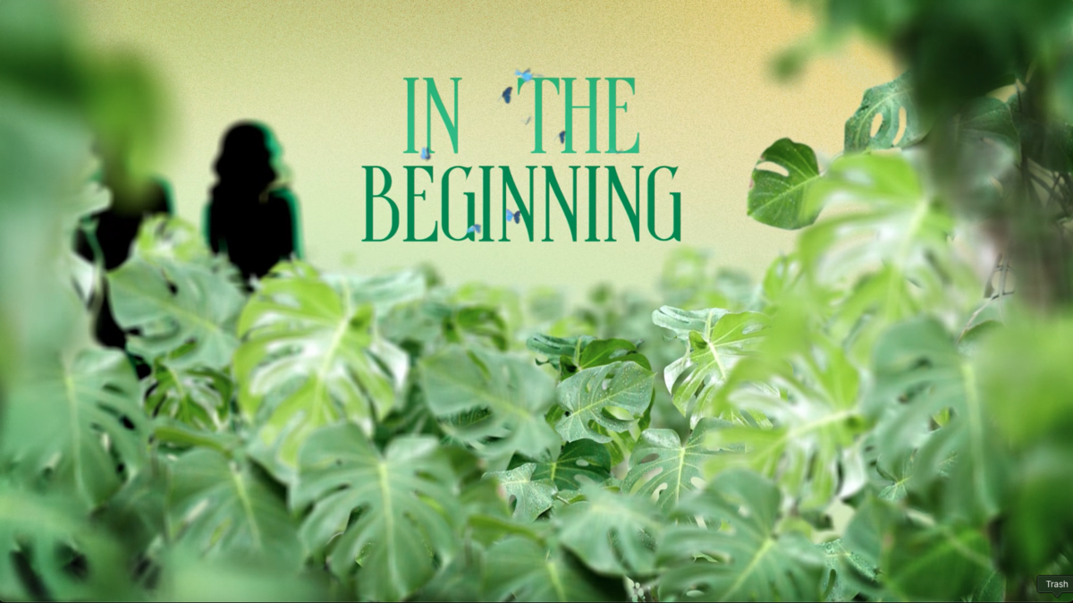 Sermon Bumper: Adam and Eve: The First Family - Church Visuals