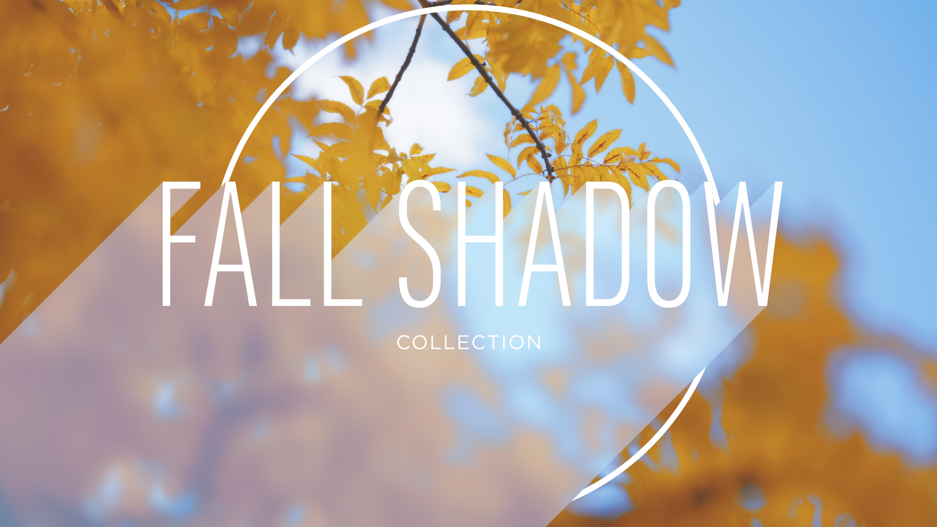 Motion Graphics: Fall Shadow – Autumn Motion Backgrounds and Slides for ...