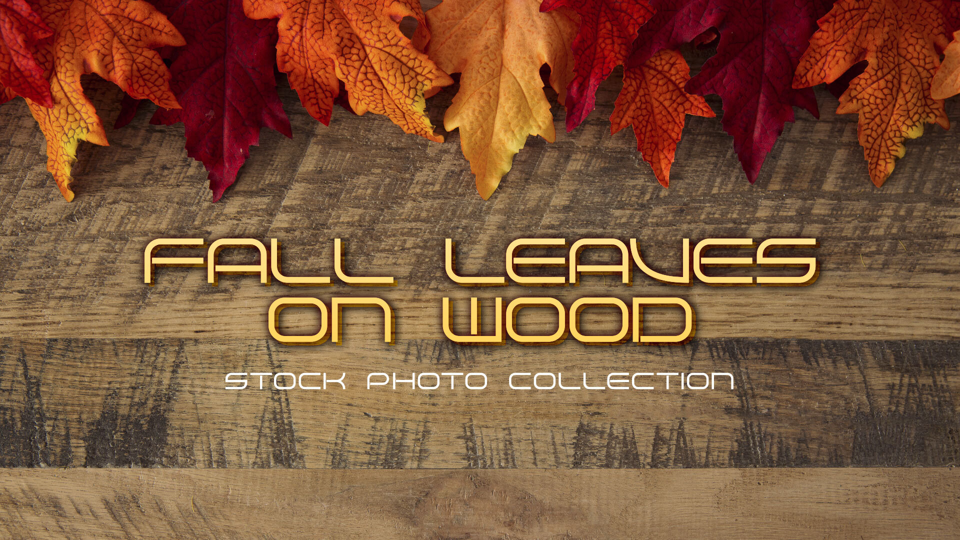 Stock Photos: Fall Leaves Stock Photo Collection