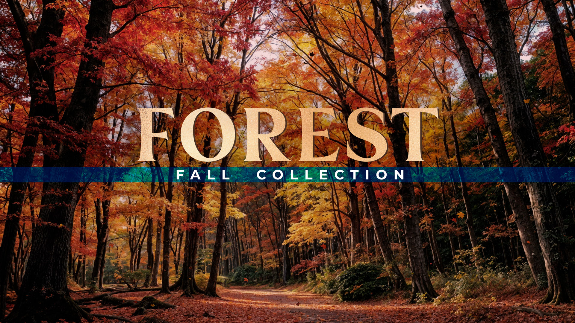 Motion Graphics: Forest Fall Theme Pack for Autumn Worship Backgrounds