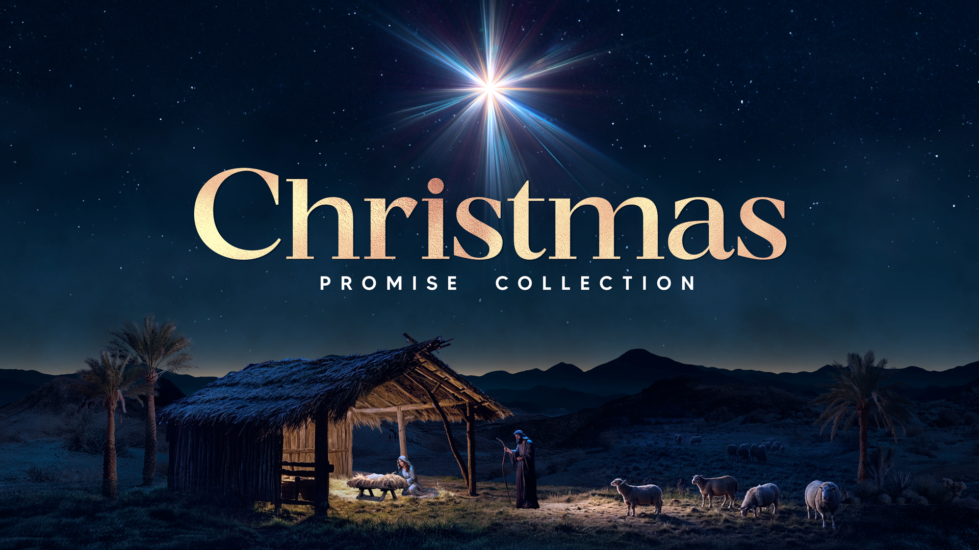 Motion Graphics: Christmas Promise Theme Pack - Nativity Church Media ...
