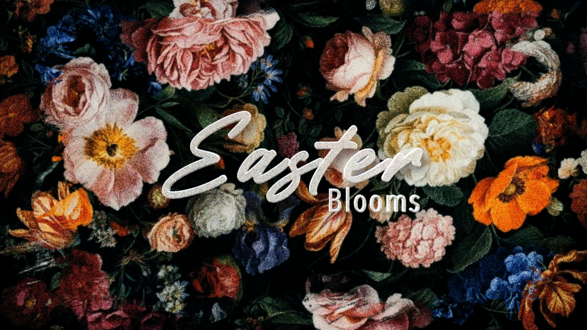 Motion Graphics: Easter Blooms Theme Pack - Floral Easter Worship Graphics