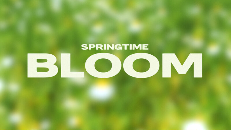 Motion Graphics: Springtime Bloom - Church Visuals